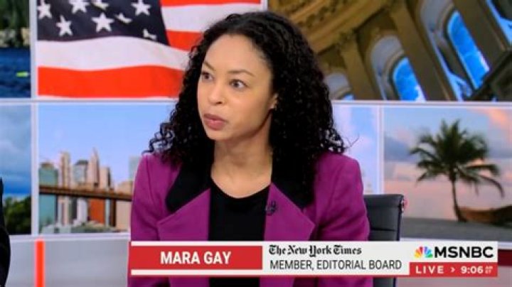 MSNBC: Mara Gay Journalist Wikipedia and Biography, Parents and Husband ...